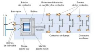 Funcionamiento Básico De Un Contactor En Electricidad Y Electrónica. - Electropreguntas